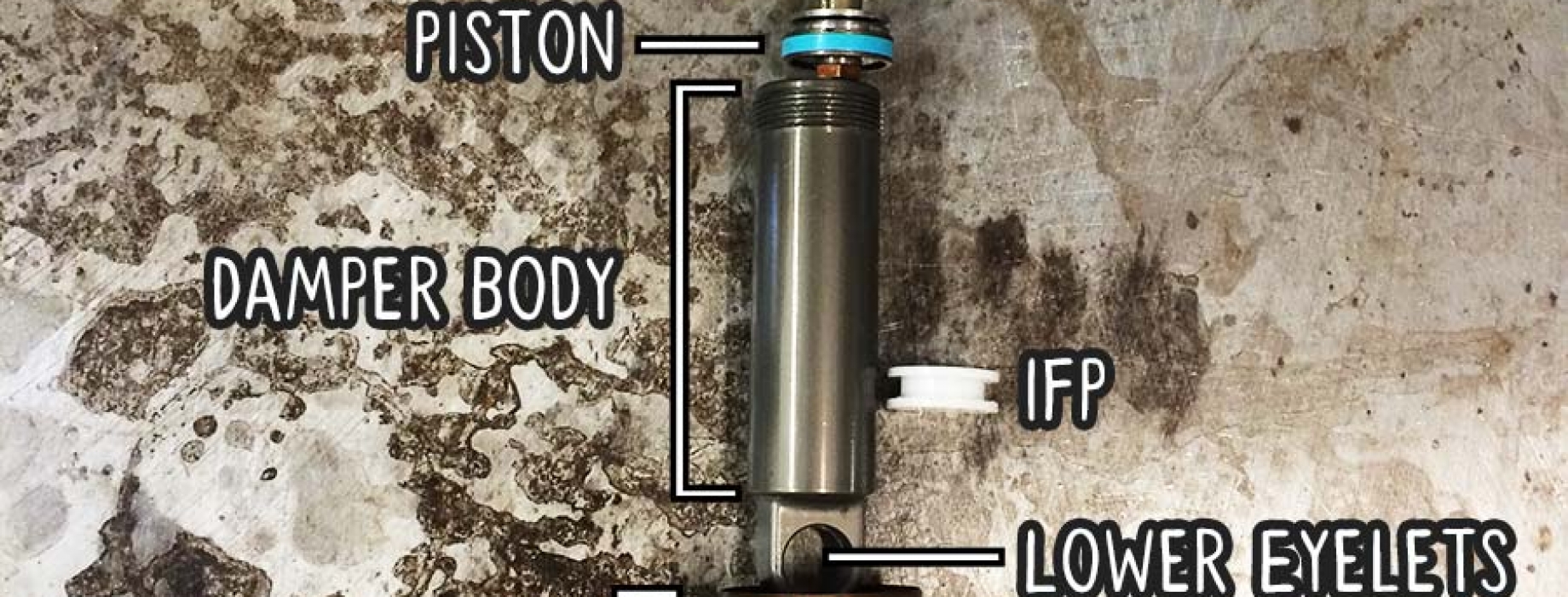 REAR SHOCK Anatomy - D I R T L A B S